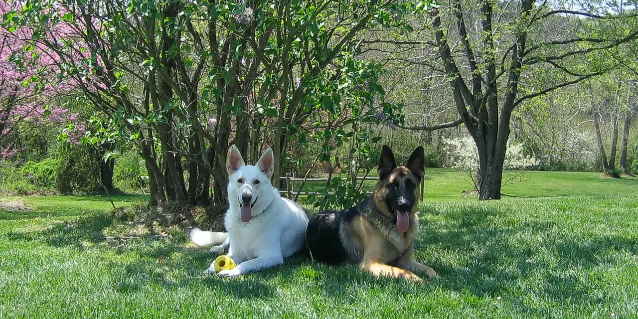 Fred Fioto, Domains Listed for Sale, Online Web Maintenance Links