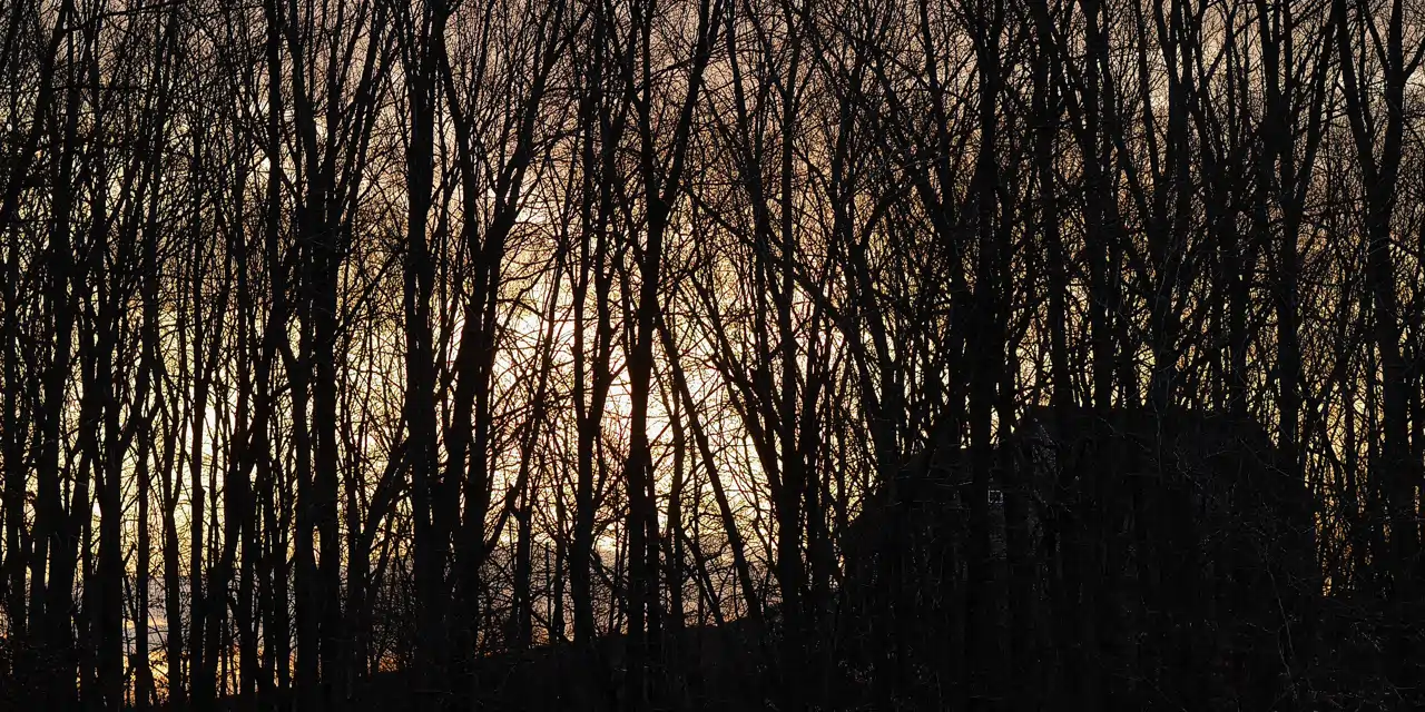 Fred Fioto, Domains Listed for Sale, Online Web Maintenance Links