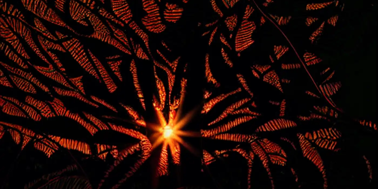 Fred Fioto, Domains Listed for Sale, Online Web Maintenance Links