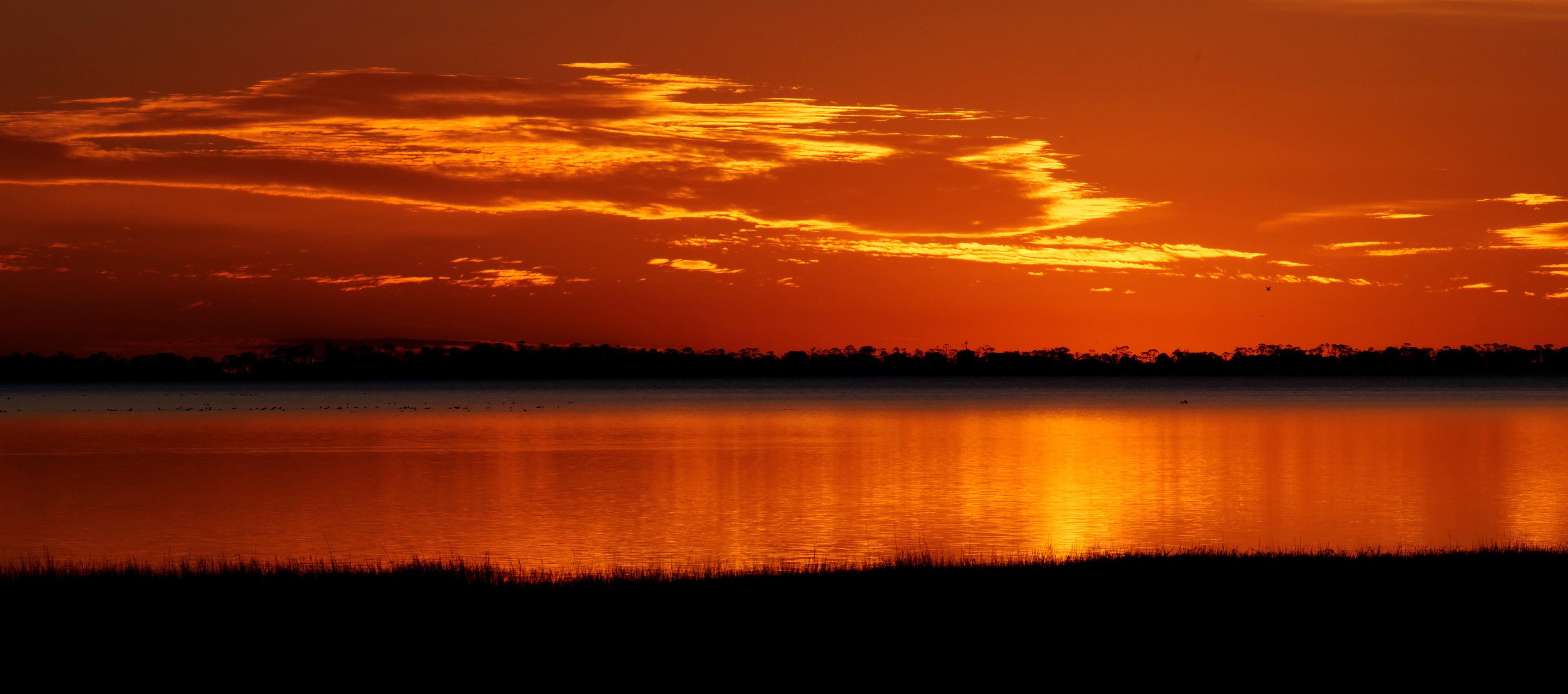 Fred Fioto, Port St. Joe, Gulf County
